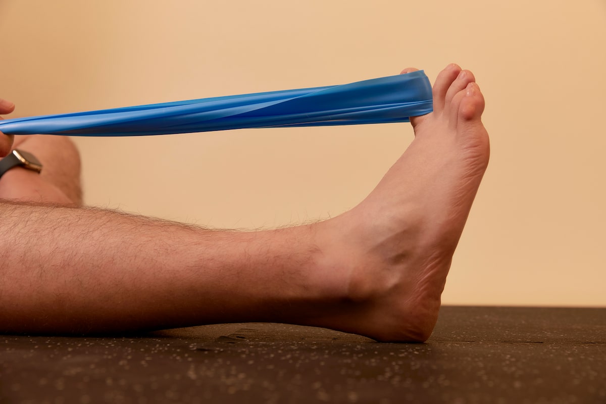 Excremento De Estrutura De Classificação De Fezes De Fezes De Fezes ...